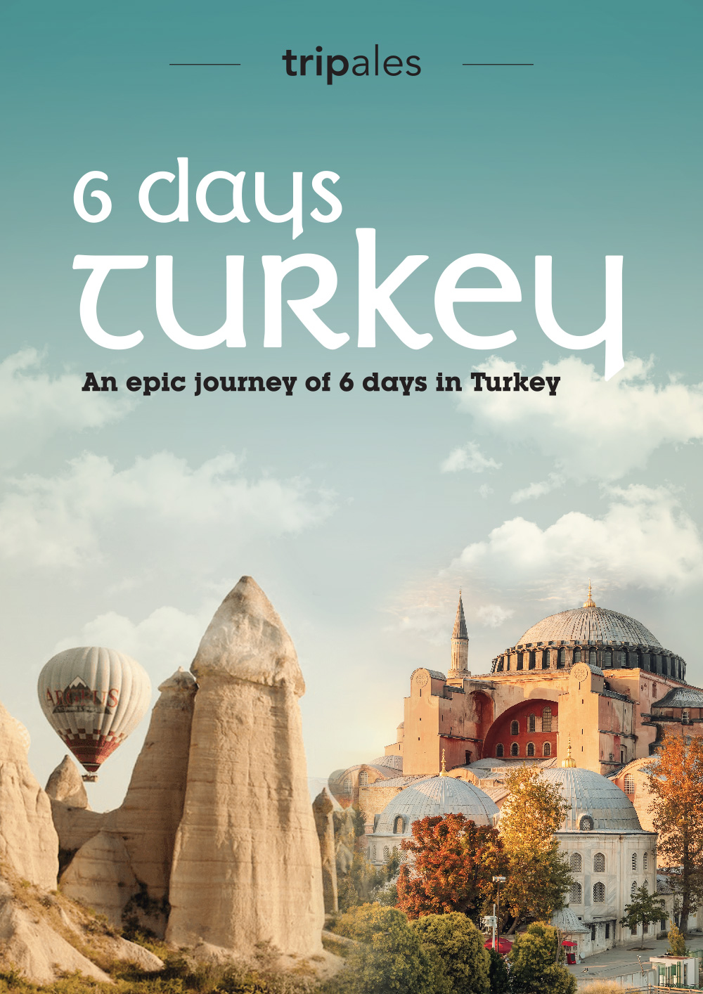 LICENSED PROFESSIONAL GUIDE