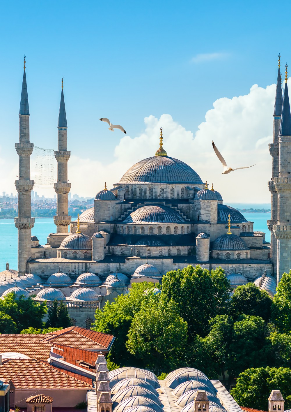 Bosphorus Dinner Cruise|Istanbul Dinner Cruise|Busbhorus dinner Cruise ...