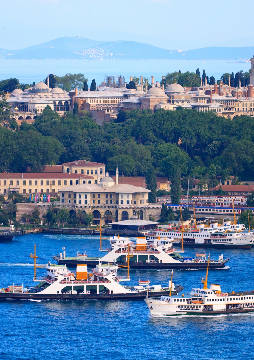 Tripales | Collect The Moment